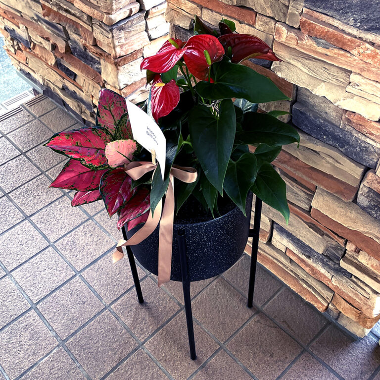 商品・制作物 | Hanacoco 富山 花屋